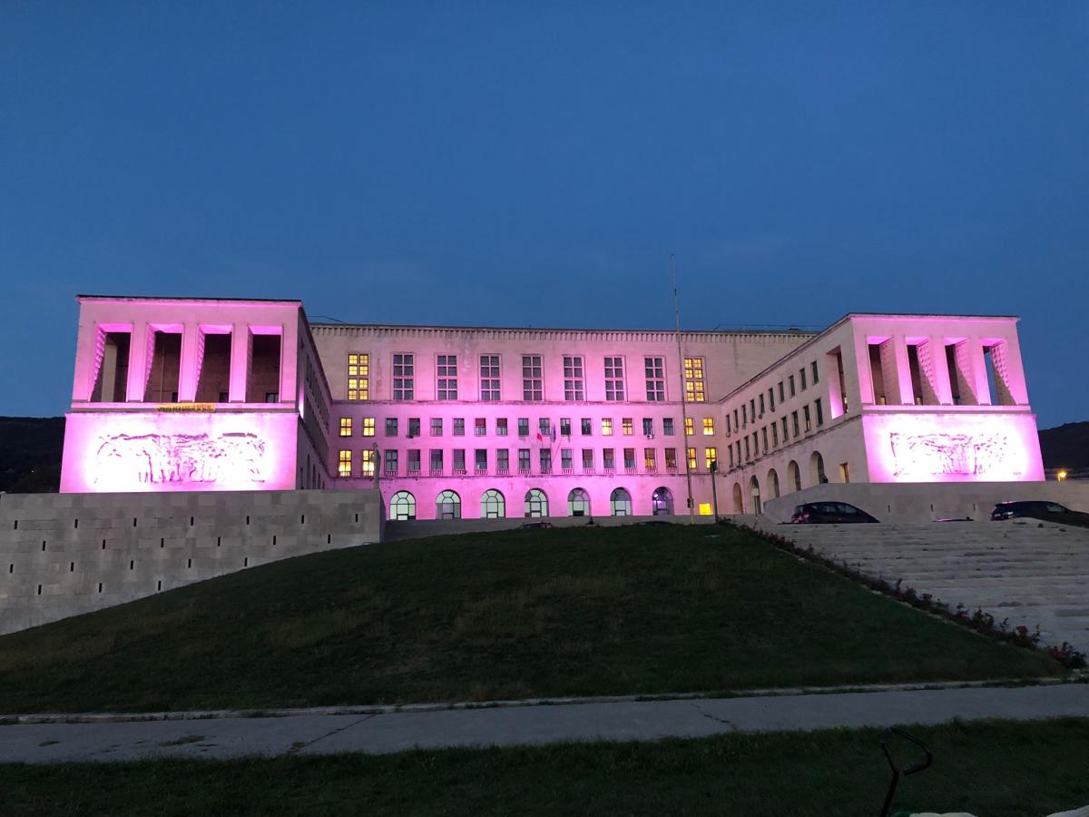 Prevenzione tumore al seno: UniTS aderisce all’Ottobre Rosa LILT ...
