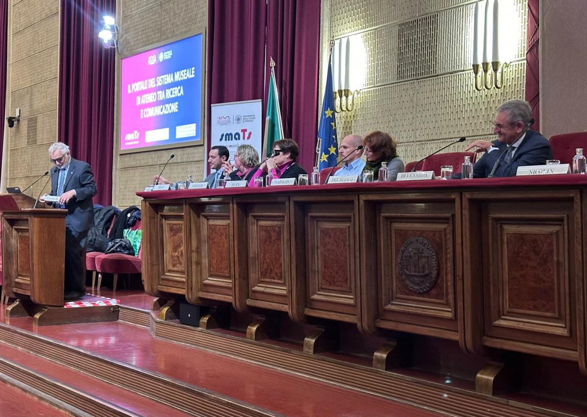 Mostre virtuali e percorsi interattivi nel nuovo portale del Sistema ...