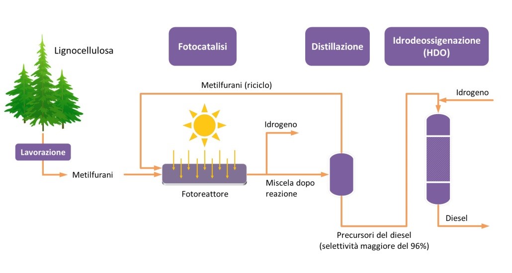 Schema Impianto Biomassa Impianti Biogas Di Piccola Taglia