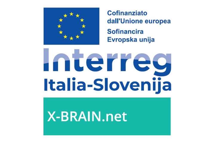 Riabilitazione post-ictus: parte X-BRAIN.net progetto italo-sloveno guidato da UniTS ...
